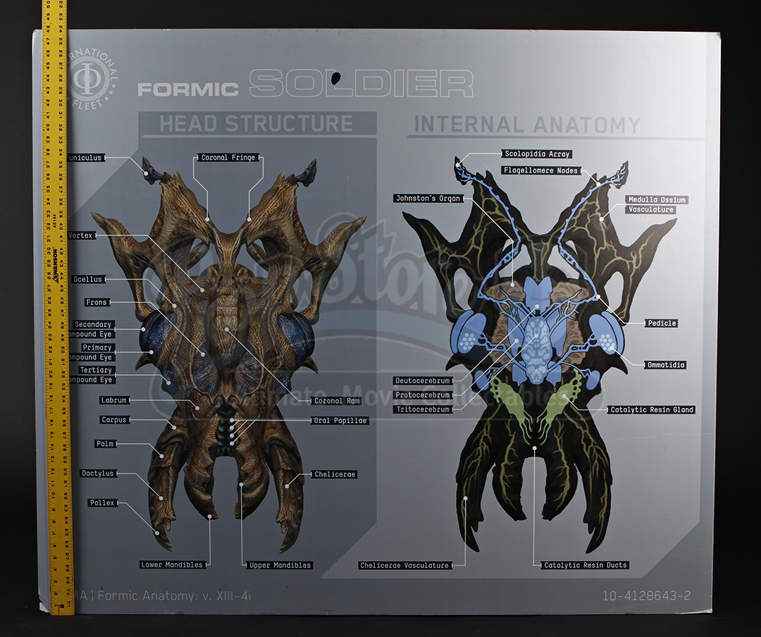 ENDER'S GAME - Formic Solider Head Diagram - Current price: $55