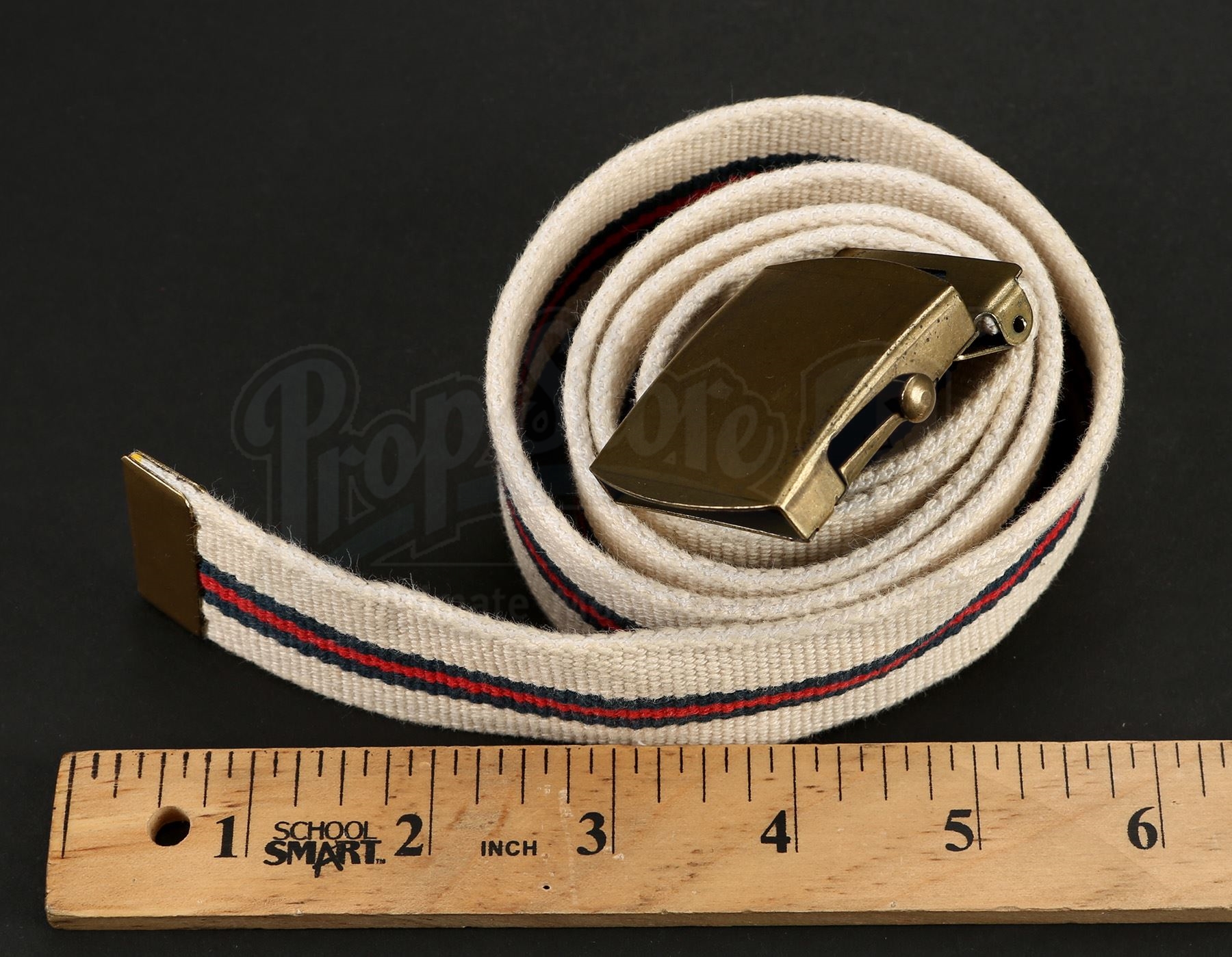 Jason Kelly’s (Zac Efron) Striped Belt - Current price: $110