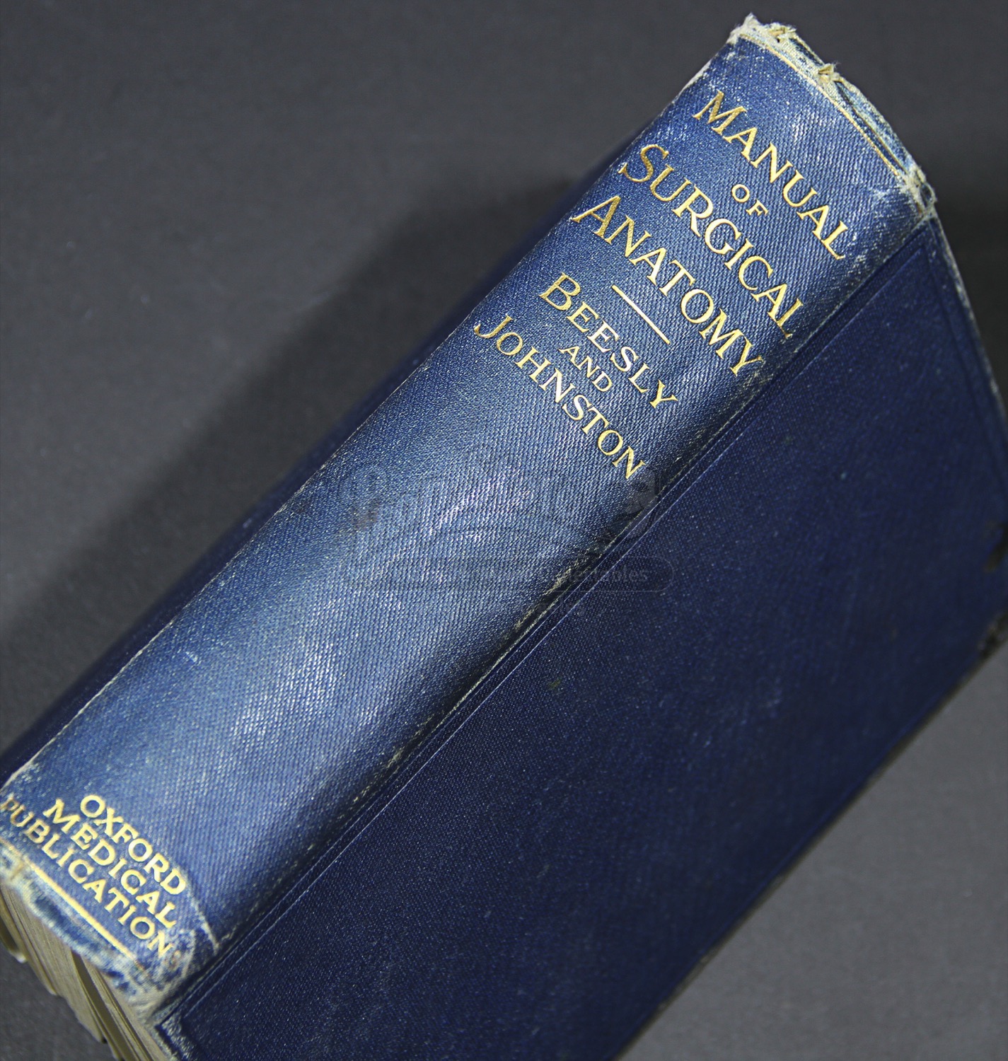 Mina Murray (Jessica De Gouw) Examination Study Books