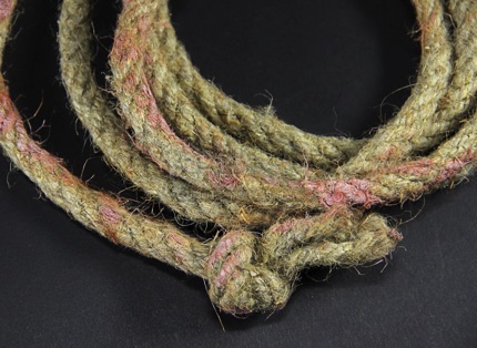 Mina Murray (Jessica De Gouw) Capture Scene Rope