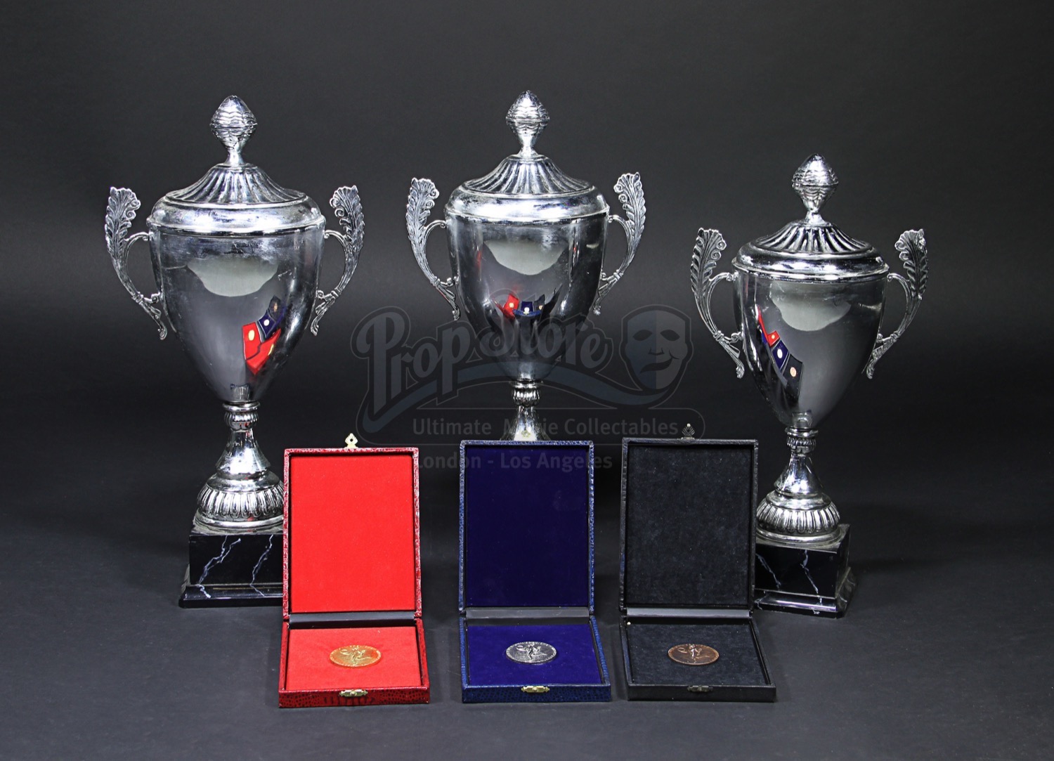 Fencing Tournament Trophies & Medals Set