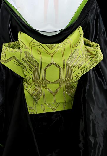 Maciej Hotel Geisha (Hannah Tasker-Poland) Geisha Mask and Costume ...