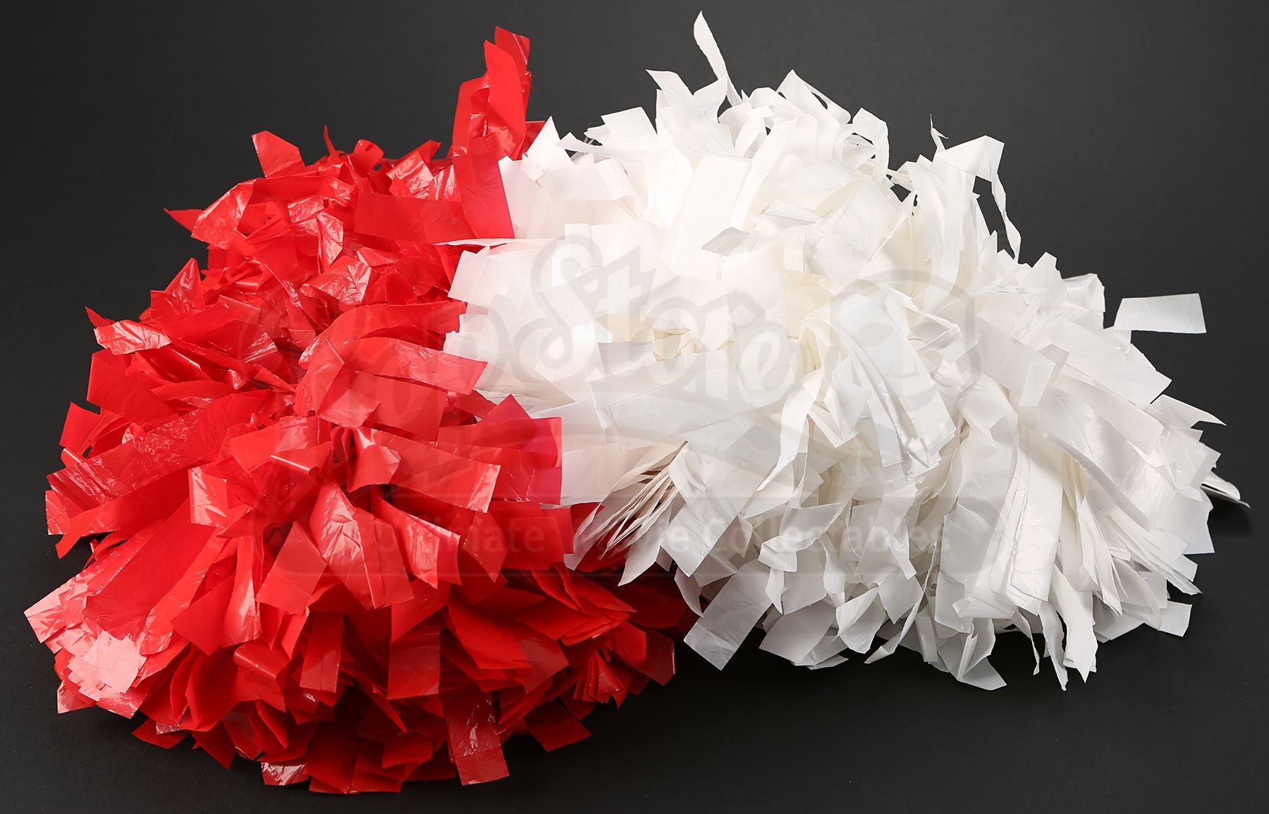 Rydell High Cheerleader Pom Poms - Current price: $10