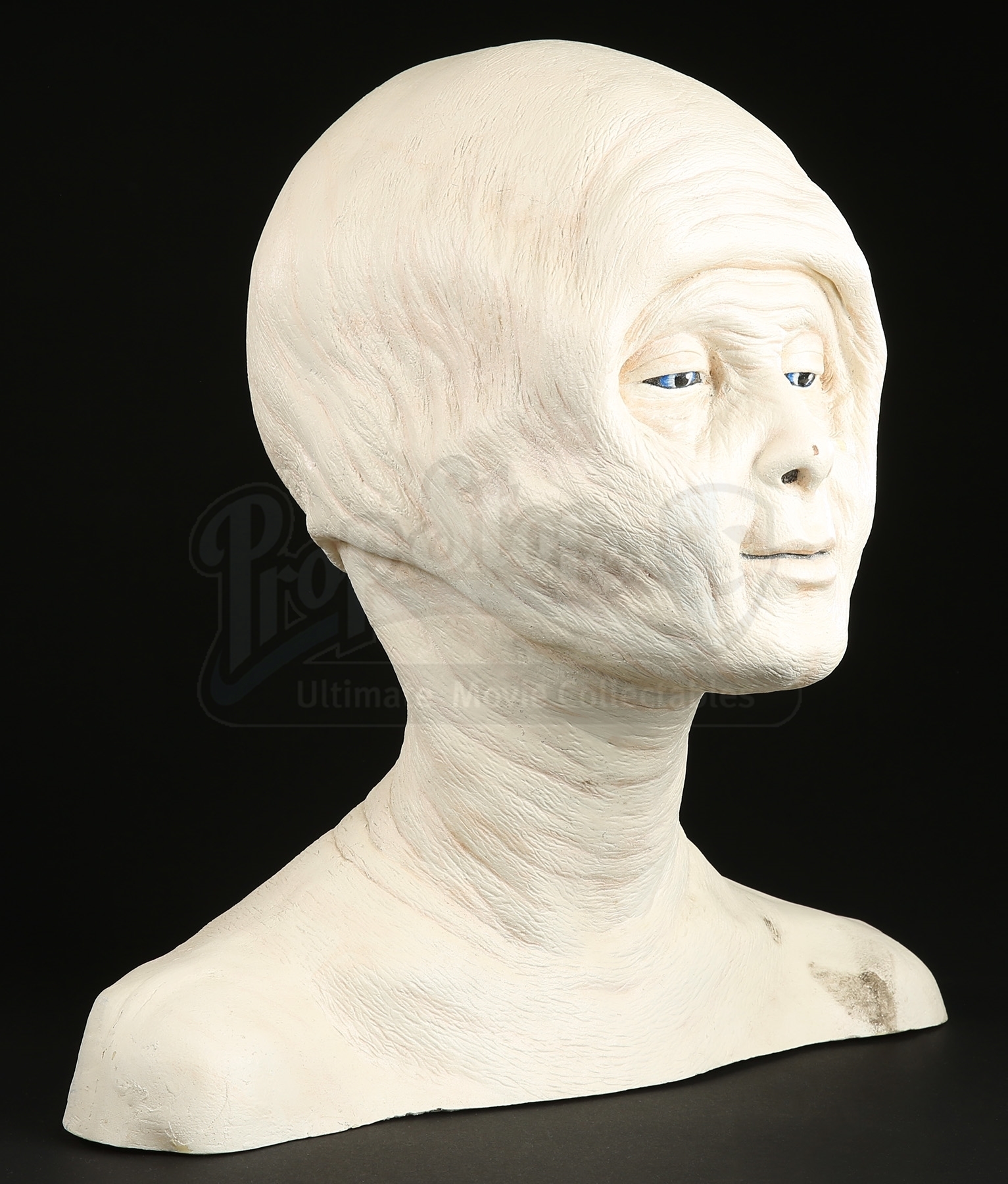 COCOON: THE RETURN (1985) - Painted Alien Reference Bust - Current ...