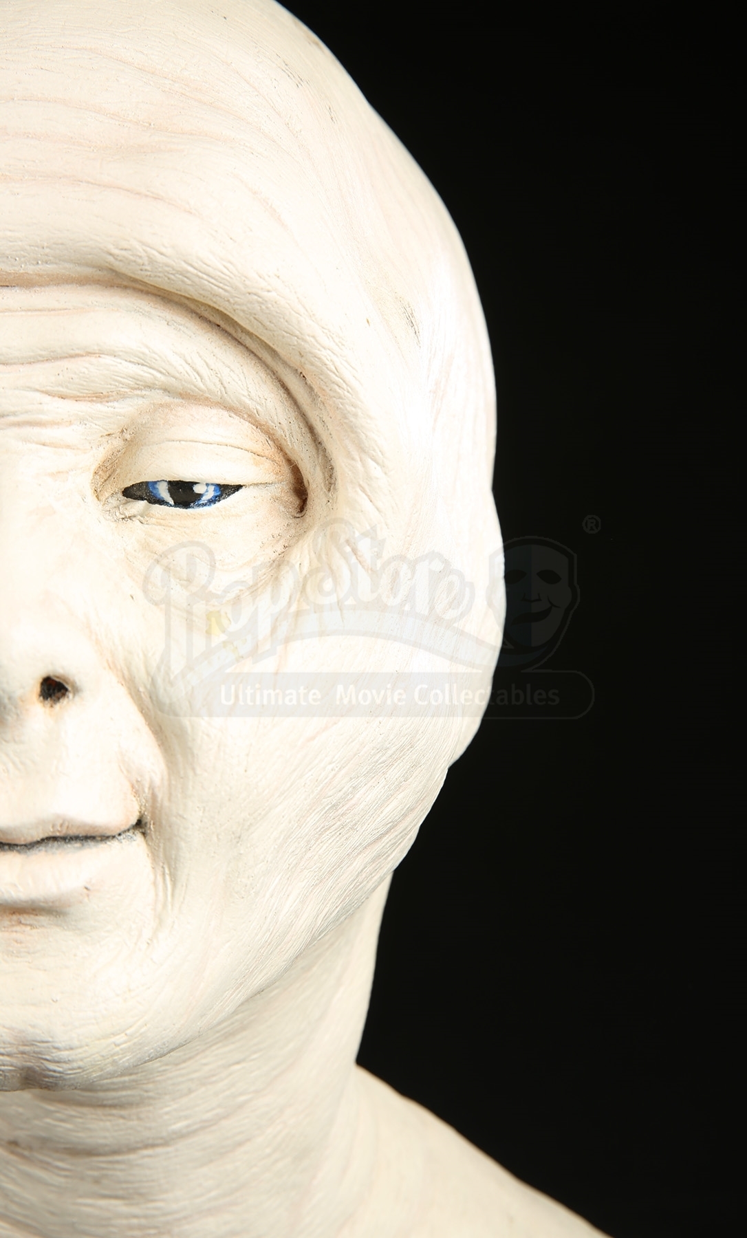 COCOON: THE RETURN (1985) - Painted Alien Reference Bust - Current ...