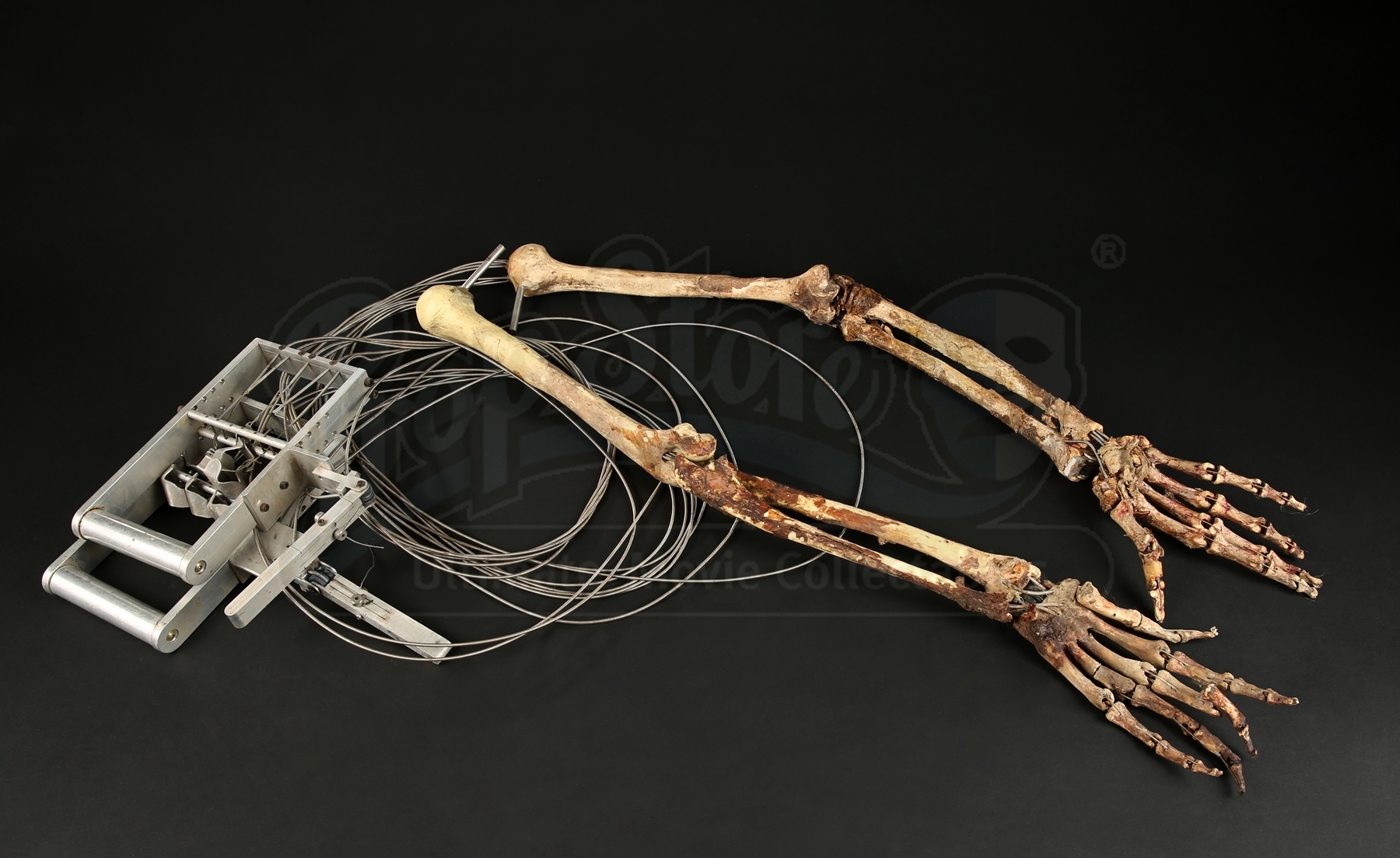 VAMP (1986) - Katrina's (Grace Jones) SFX Skeleton Arms