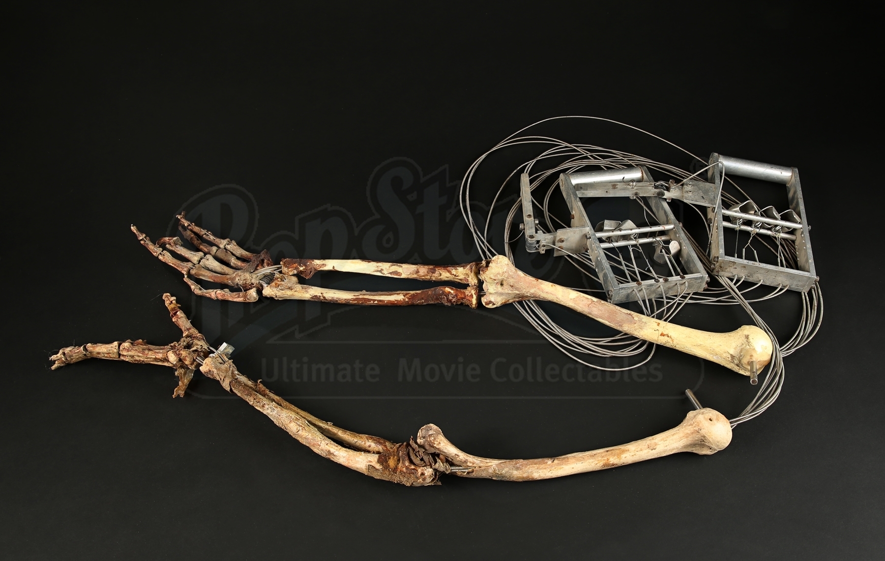 VAMP (1986) - Katrina's (Grace Jones) SFX Skeleton Arms