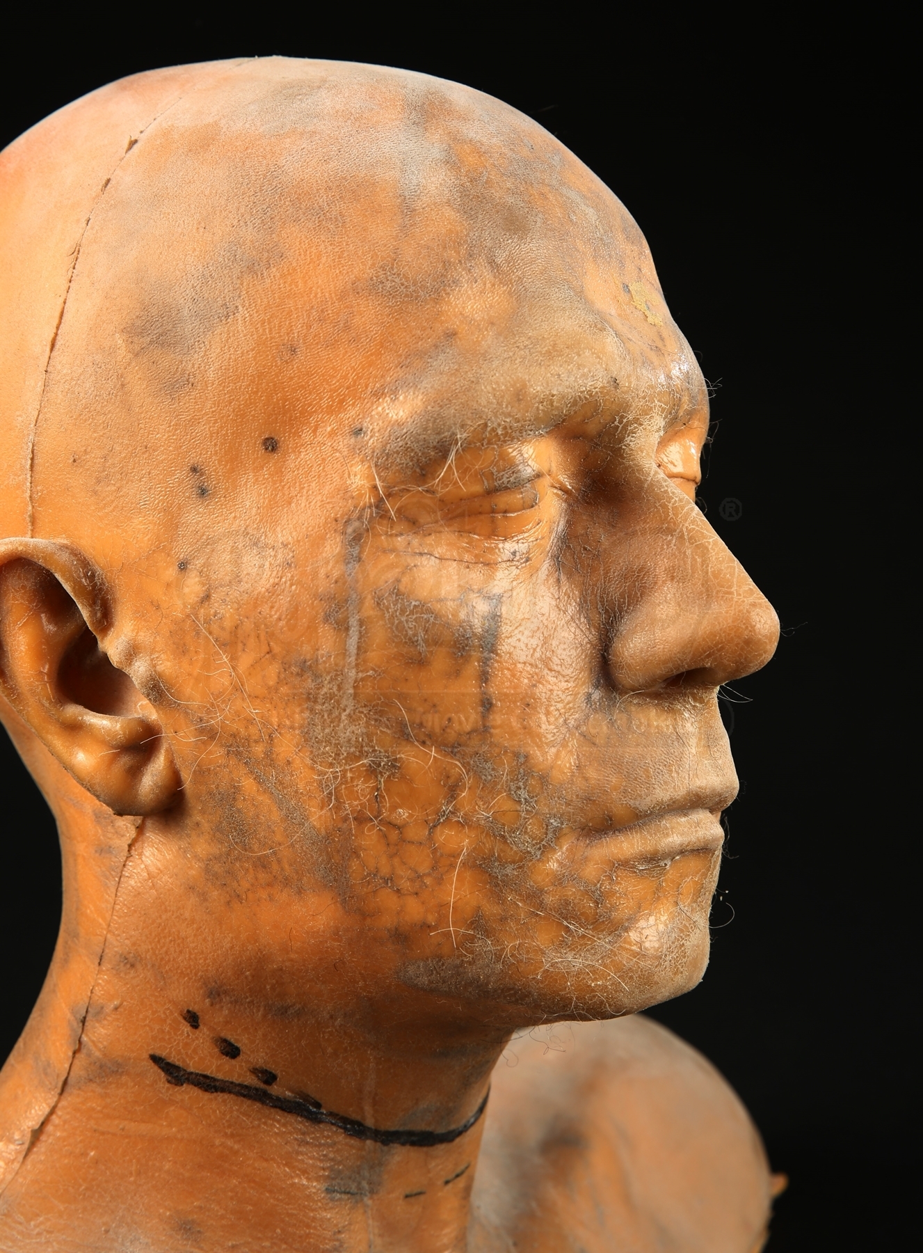 BRAM STOKER'S DRACULA (1992) - Dracula (Gary Oldman) Throat-Slit ...