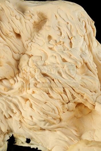 GREMLINS 2: THE NEW BATCH - Melted Gremlin Appliance - Current price: $40