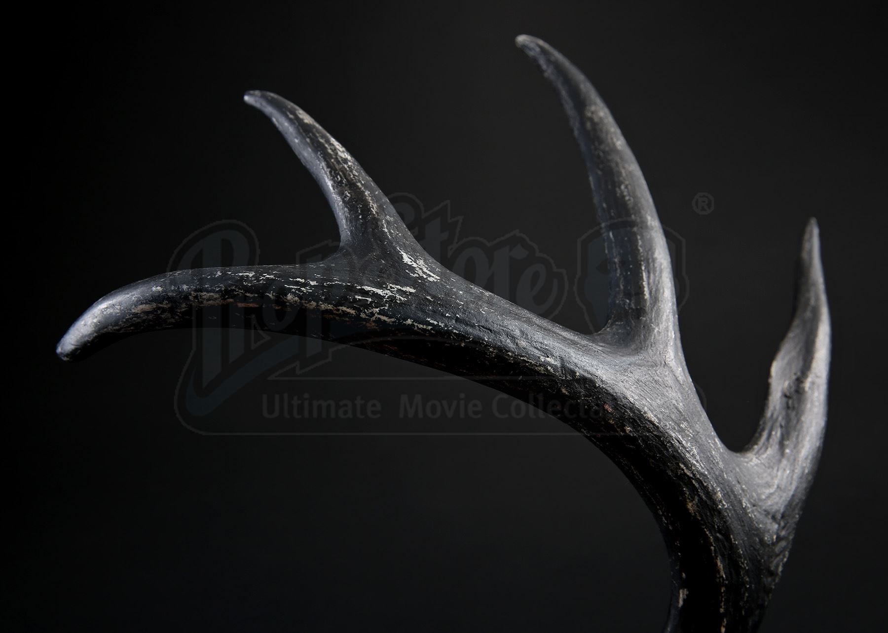 SEASONS 1-3Pair of Black Stag Antlers - Current price: $2000