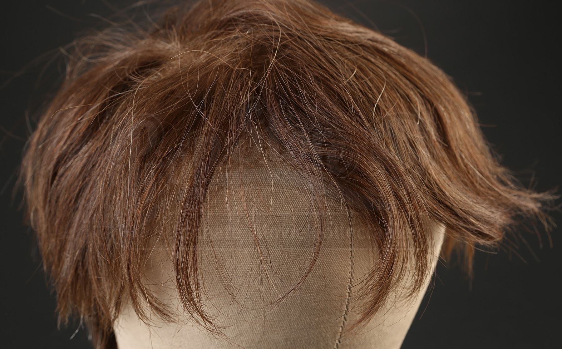 SEASONS 1-3Hannibal Lecter's Double Wig with Canvas Block Head