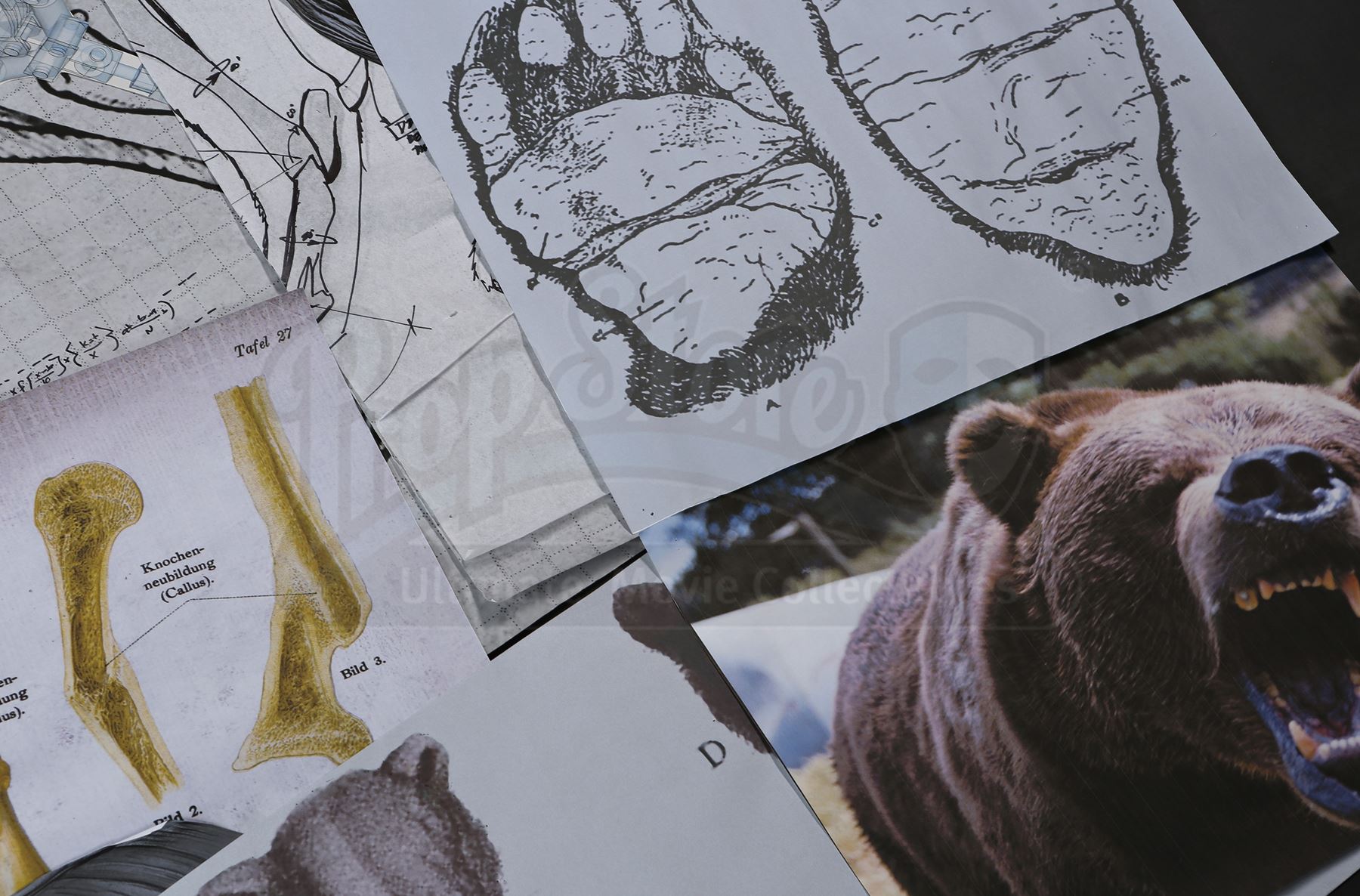 SEASON 2 EPISODE 9: SHIIZAKANA Randall Tier's (Mark O'Brien) Bear Suit ...