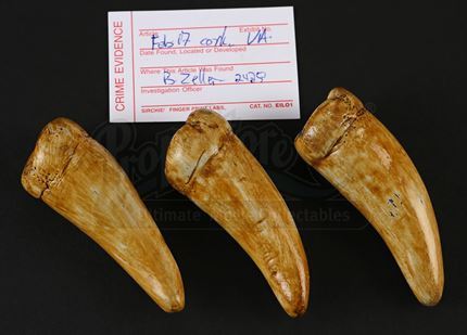 SEASON 2 EPISODE 9: SHIIZAKANA Set of Three Canine Teeth