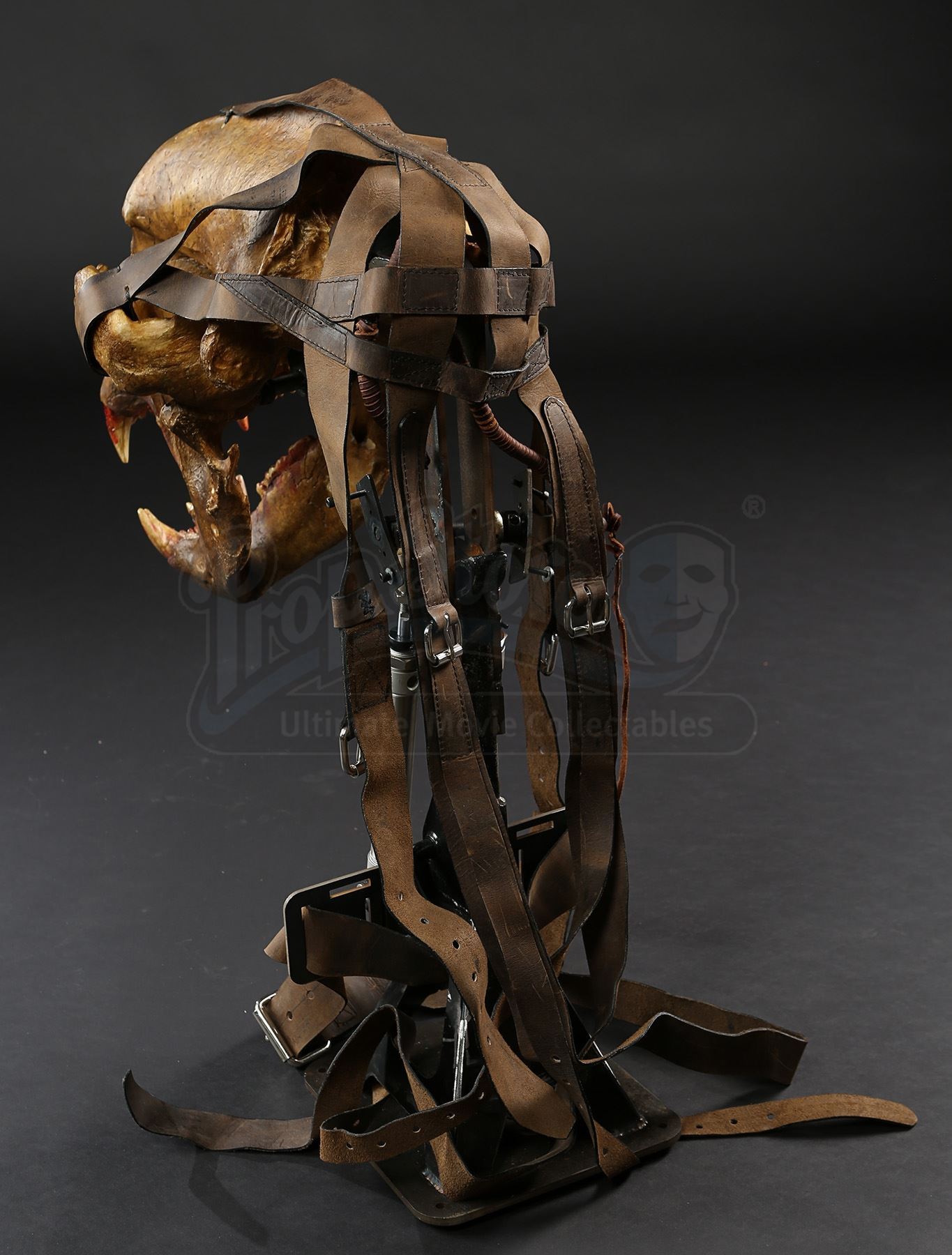 SEASON 2 EPISODE 9: "SHIIZAKANA"Randal Tier’s (Mark O’Brien) Cave Bear ...