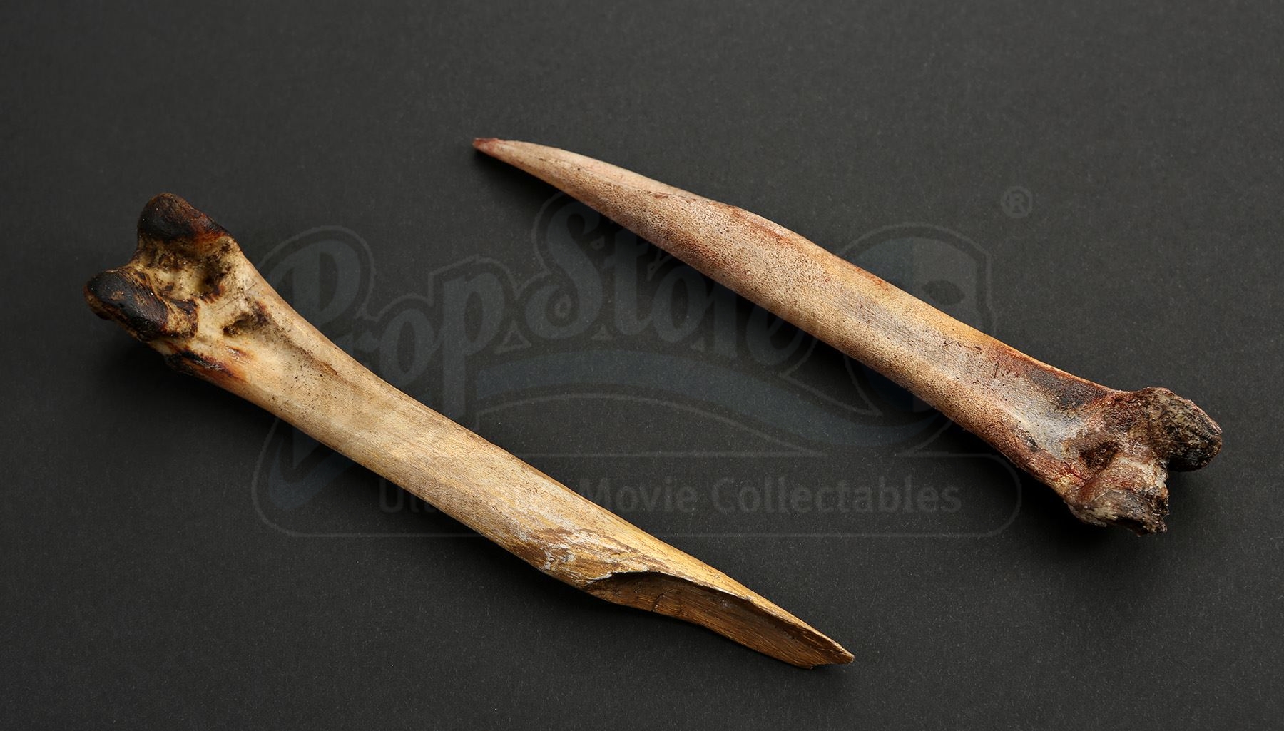 SEASON 3 EPISODE 3: SECONDO Pair of Pheasant Bones