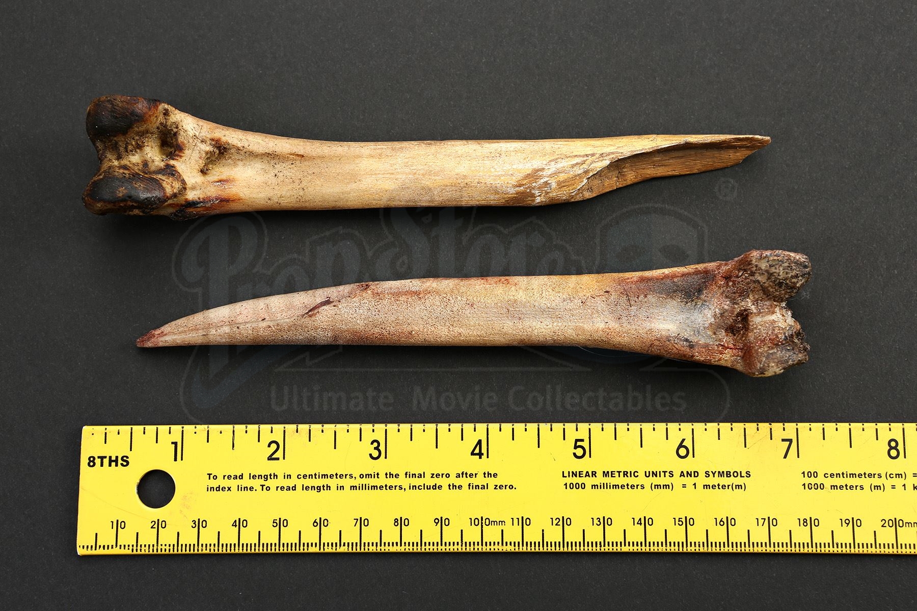 SEASON 3 EPISODE 3: SECONDO Pair of Pheasant Bones