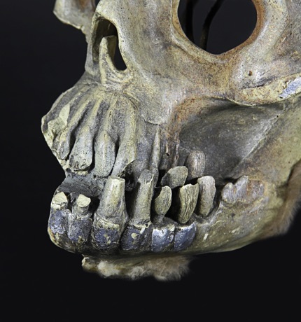 General Kael's (Pat Roach) mask from Willow. The leader of the Nockmaar ...