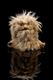 Fizzgig Puppet