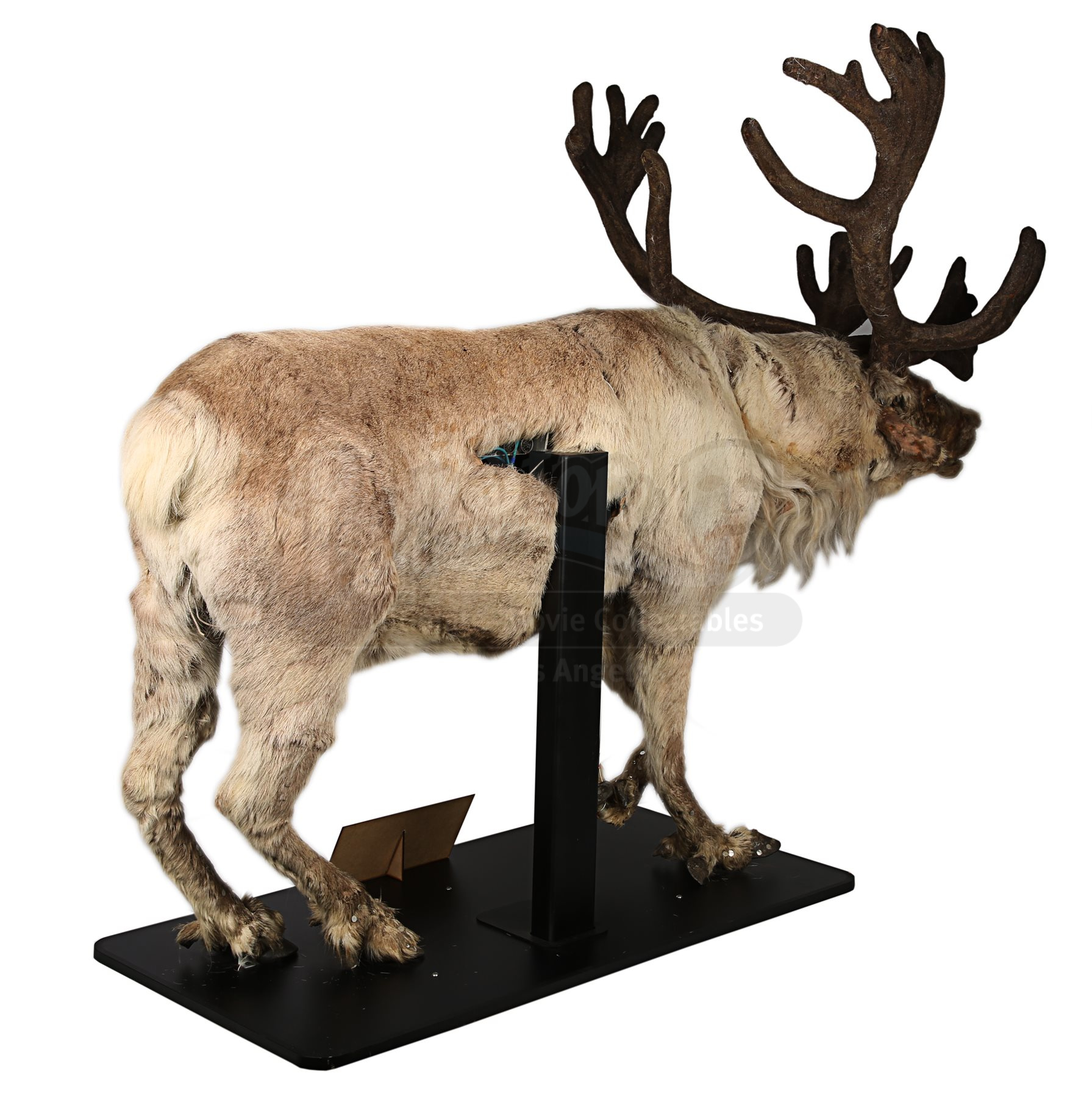 Donner The Reindeer