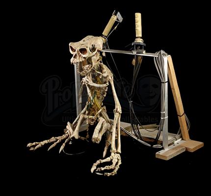 A Gremlin skeleton puppet from Joe Dante's horror comedy Gremlins 2 ...