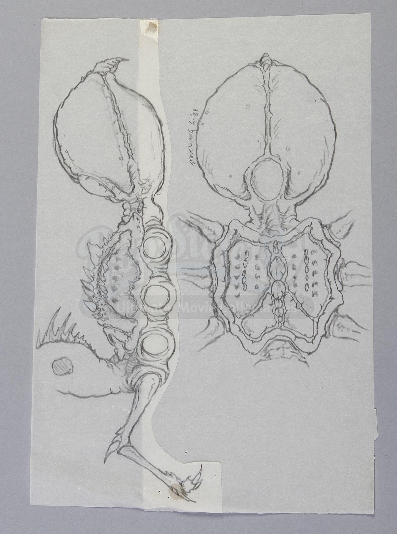 GREMLINS 2: THE NEW BATCH (1990) - Spider Gremlin Hand-Drawn Pencil ...
