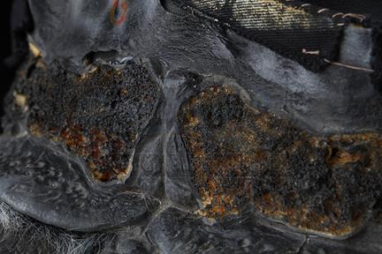 *Estimated sale price; sold without reserve