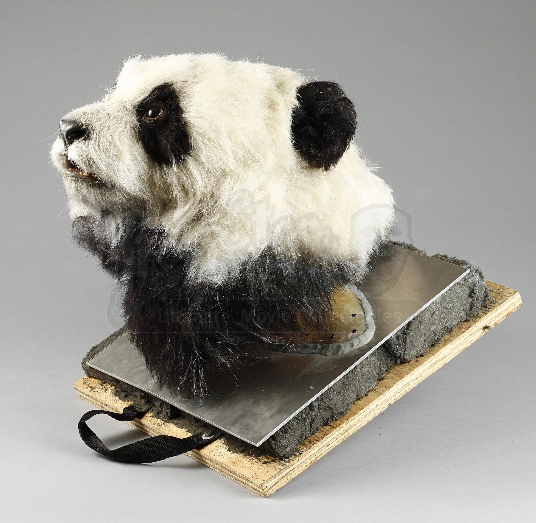 THE AMAZING PANDA ADVENTURE (1995)