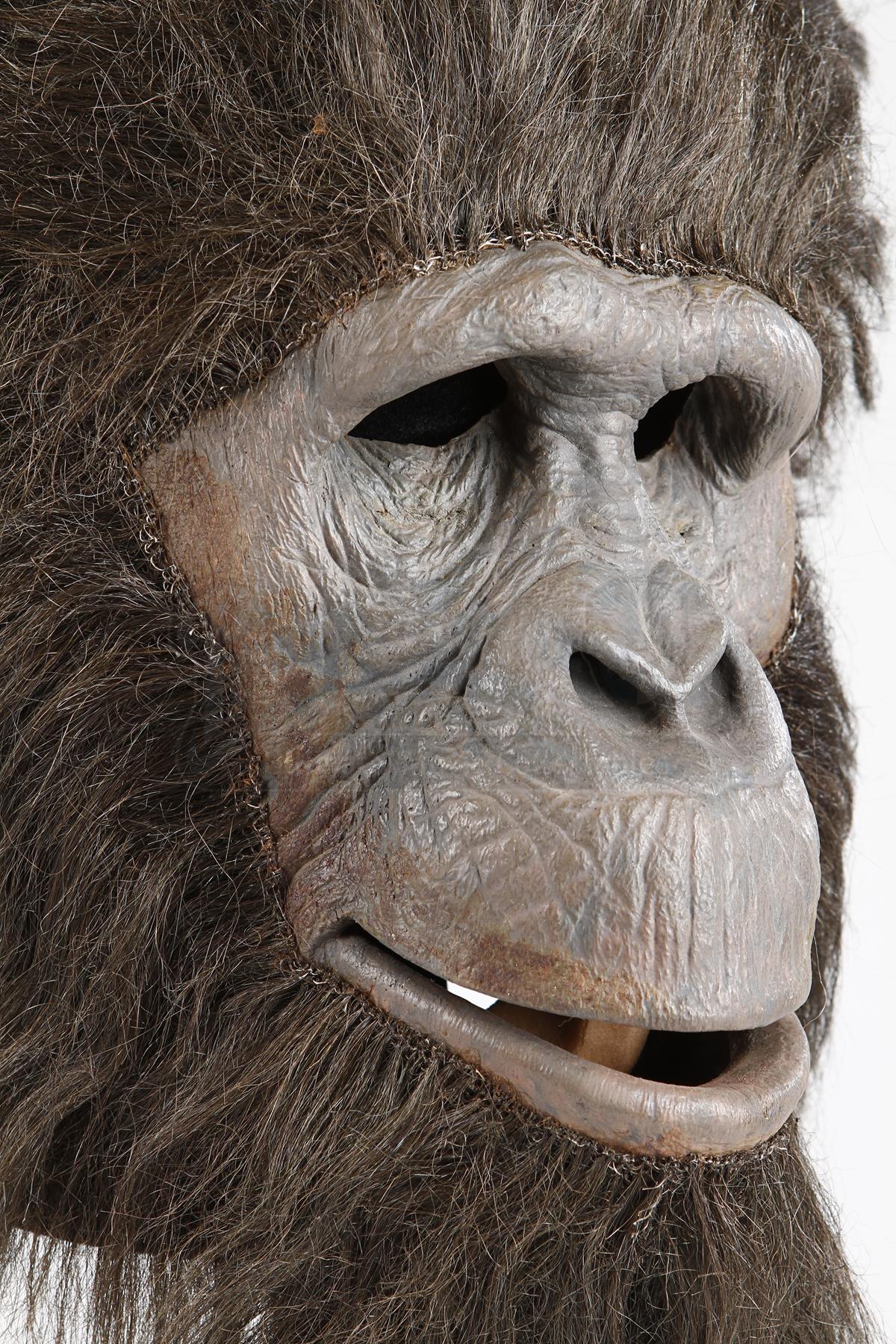 GREYSTOKE: THE LEGEND OF TARZAN, LORD OF THE APES (1984) - Practice Ape ...