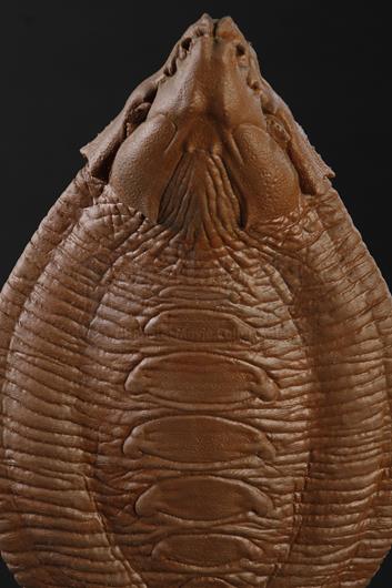 MEN IN BLACK (1997) - Edgar Bug Silicone Head Casting - Current price: $600