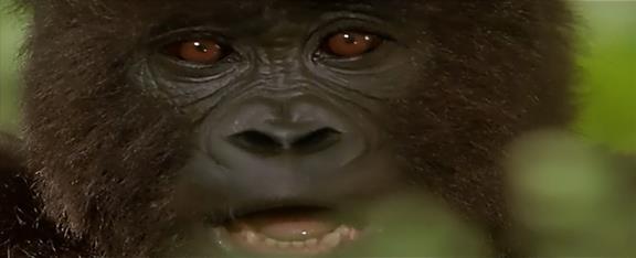 *Estimated sale price; sold without reserve