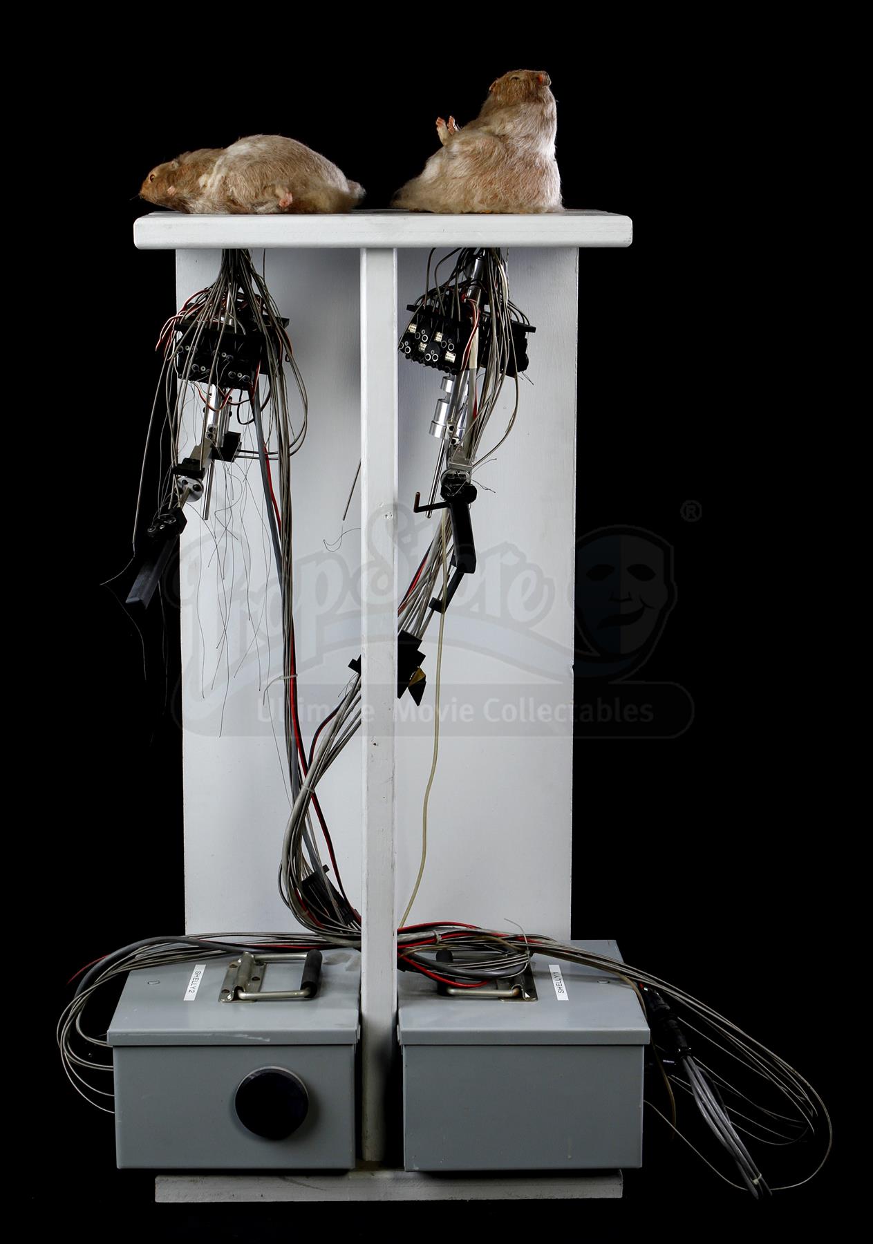 NUTTY PROFESSOR 2: THE KLUMPS (2000)