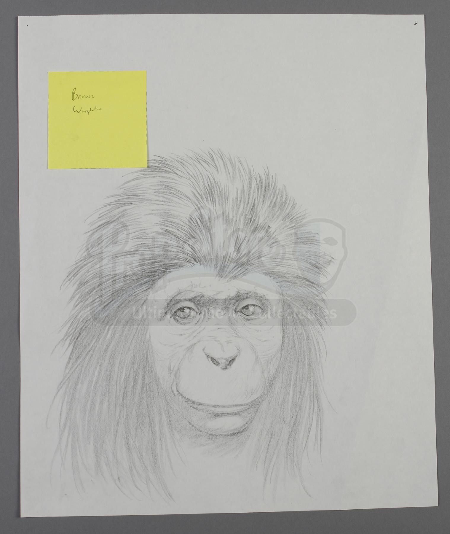 PLANET OF THE APES (2001) - Hand-Drawn Ape Sketches - Price Estimate ...