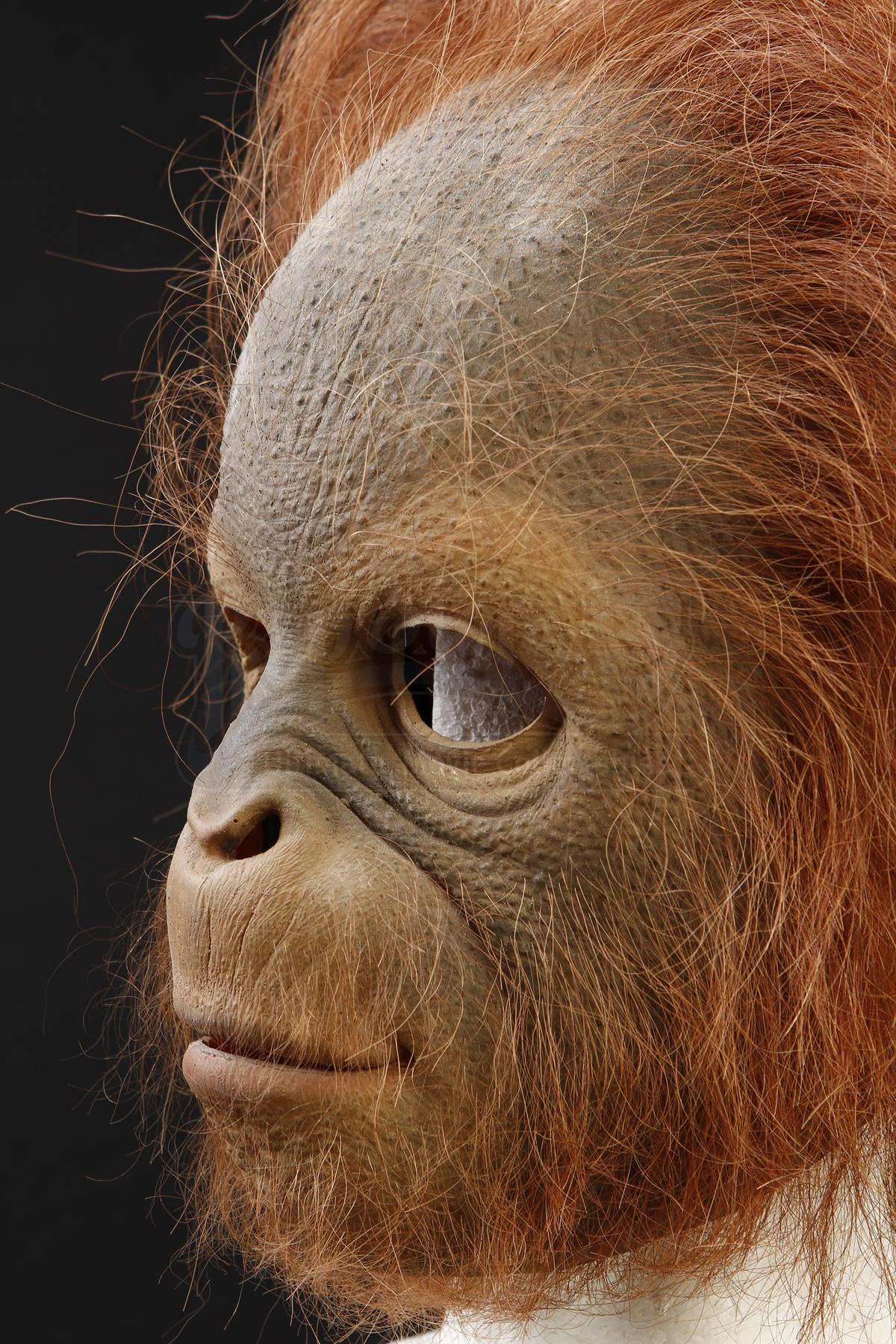 PLANET OF THE APES (2001) - Child Orangutan Mask - Current price: $3000