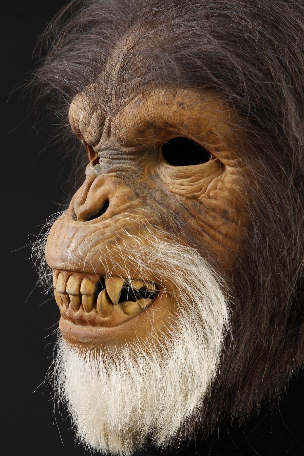 PLANET OF THE APES (2001) - Battle Chimp (Phillip Bonstin) Face Mask ...