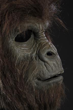 *Estimated sale price; sold without reserve