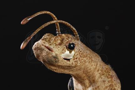 A split worm guy puppet from Barry Sonnenfeld’s Men in Black II. This ...