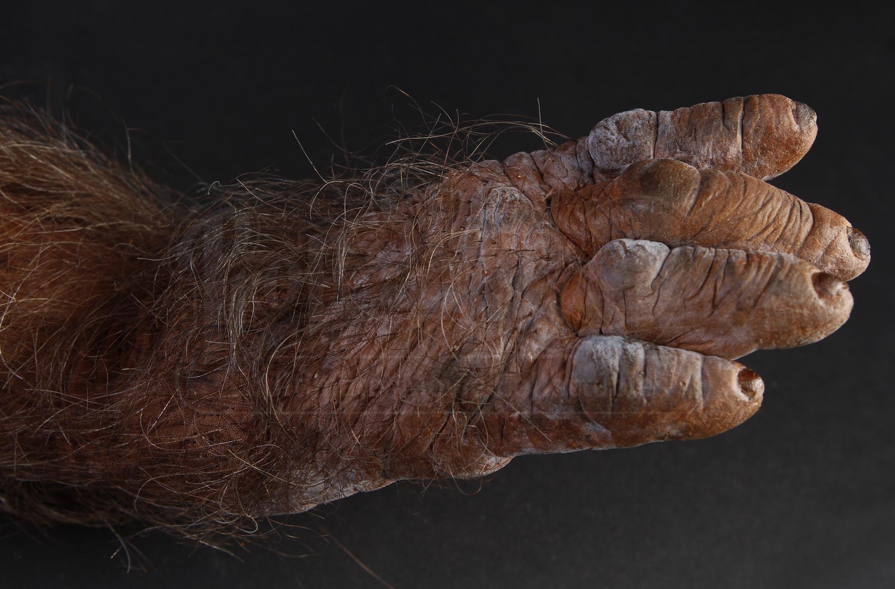 HARRY AND THE HENDERSONS (1987)