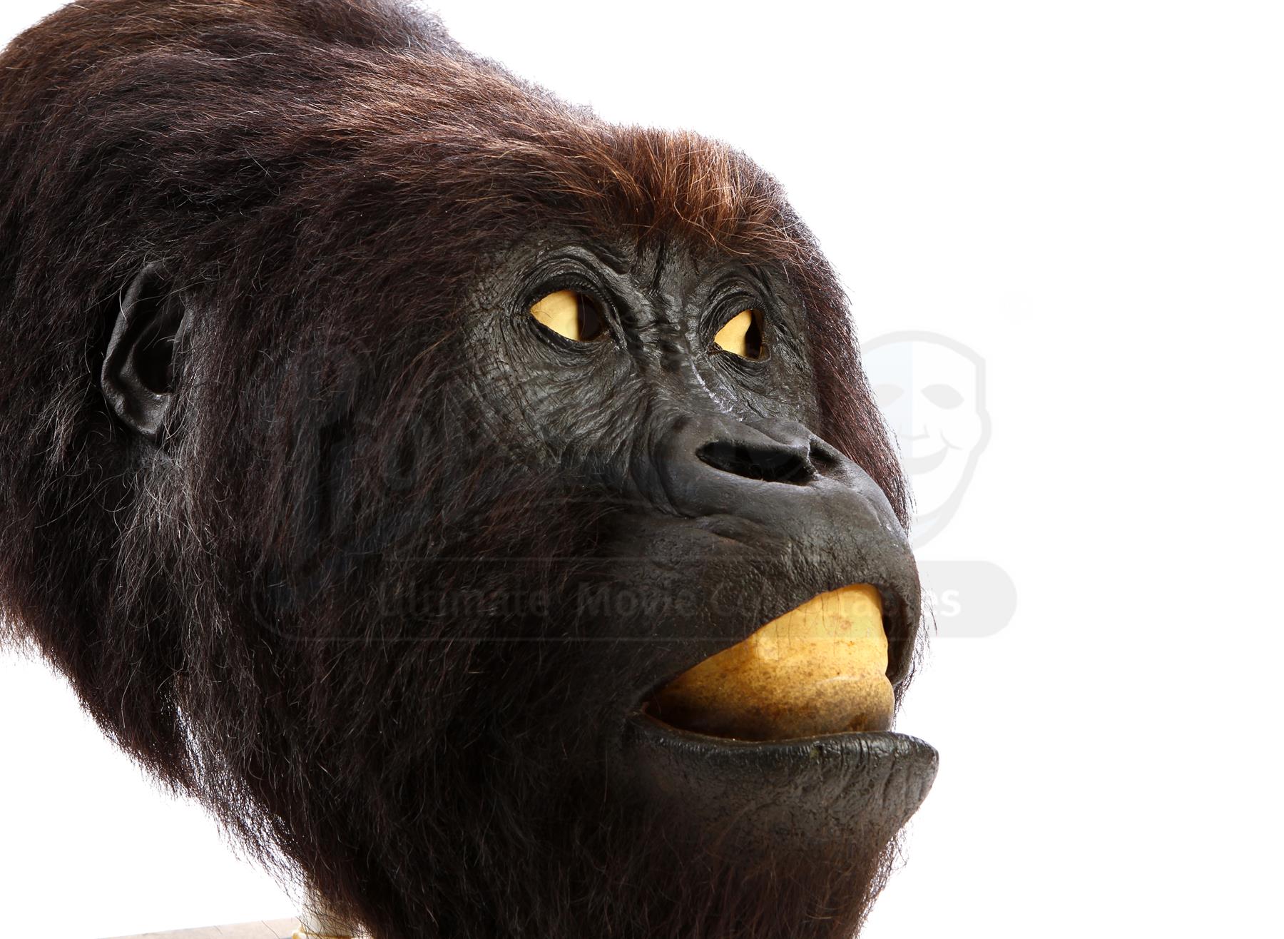 GORILLAS IN THE MIST (1988) - Digit (John Alexander) Head Skin ...