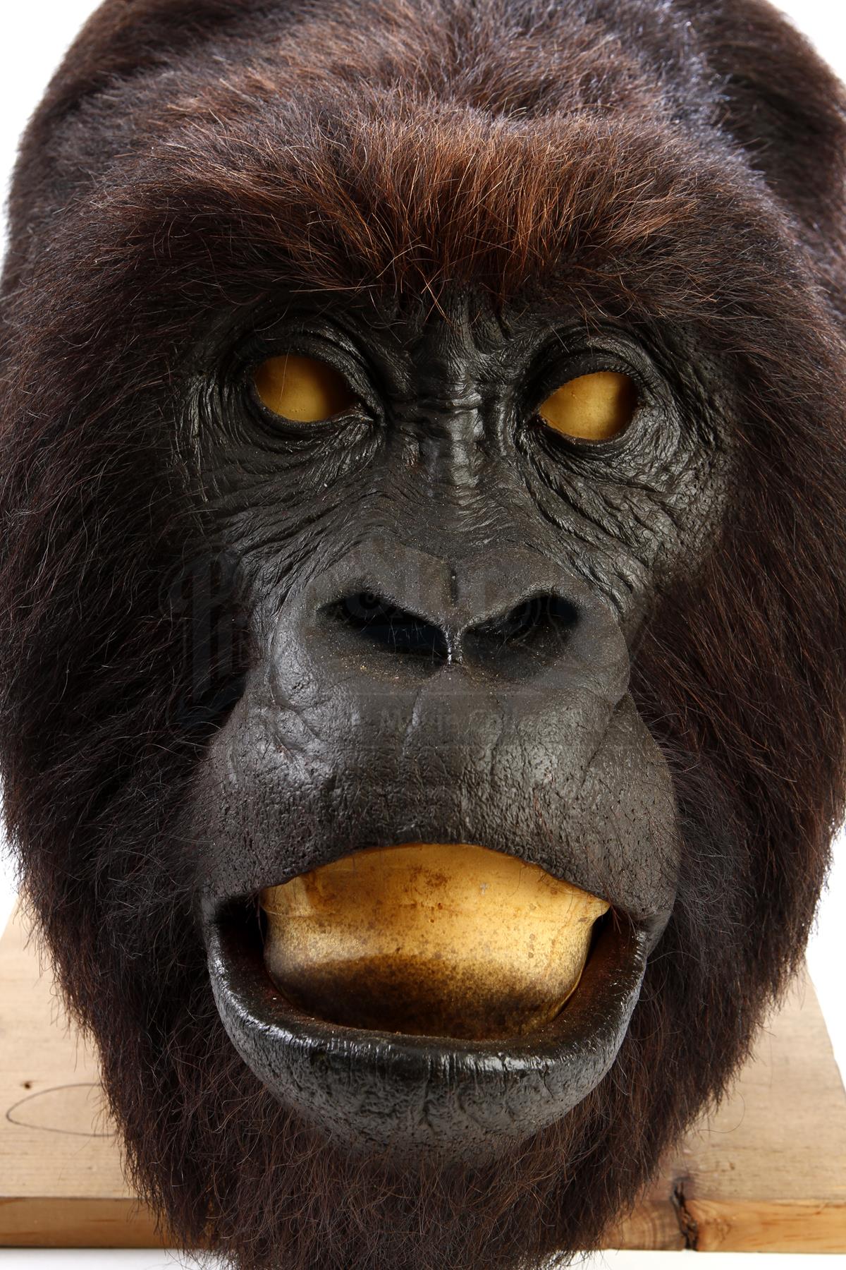 GORILLAS IN THE MIST (1988) - Digit (John Alexander) Head Skin ...