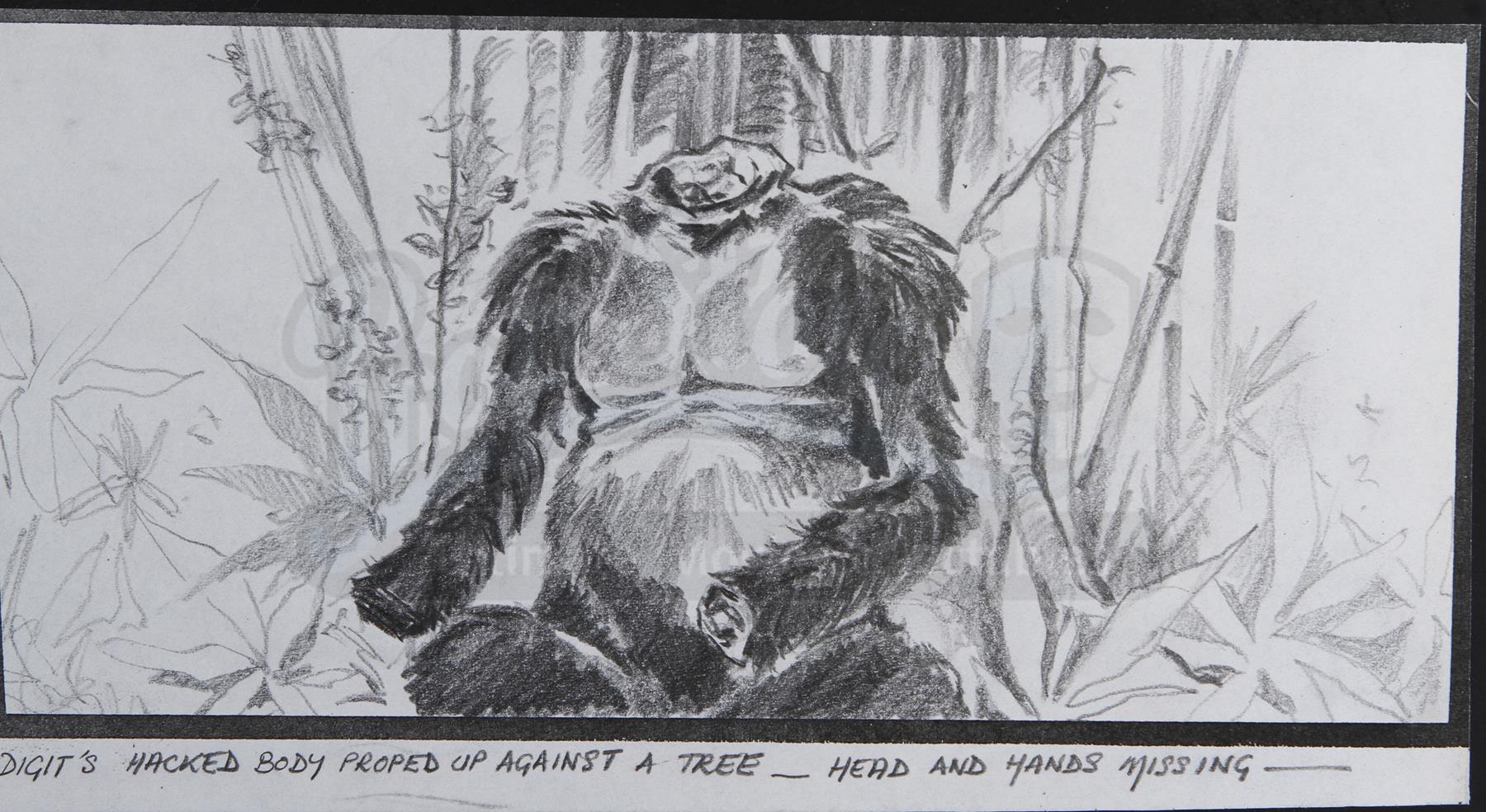 GORILLAS IN THE MIST (1988) - Hand-Drawn 'Death of Digit' and 'Snatch ...