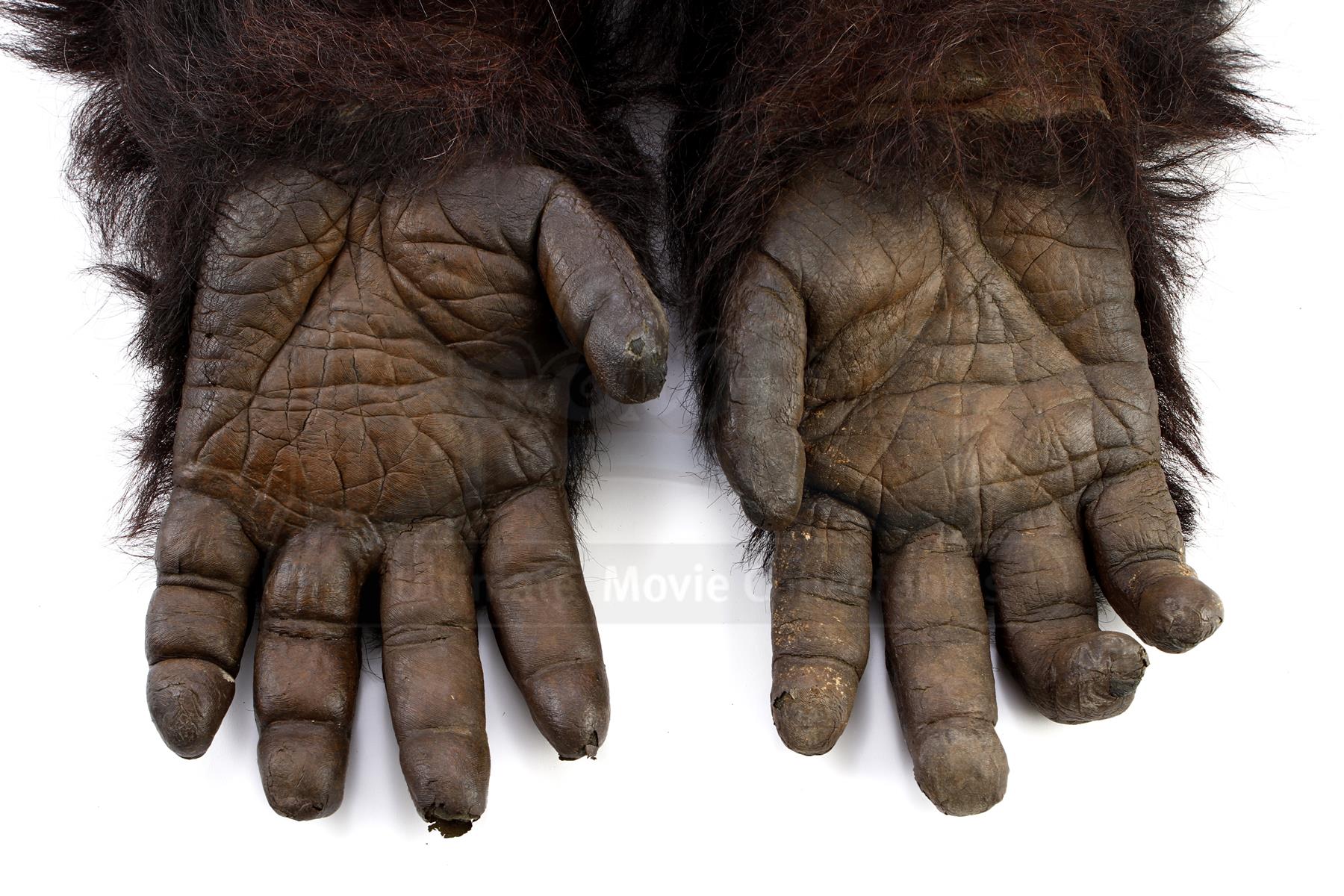 GORILLAS IN THE MIST (1988) - Digit (John Alexander) Dexterous Hands