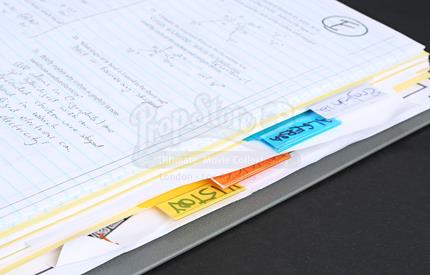 Jason Scott's School Binder and Workbook - Current price: $150
