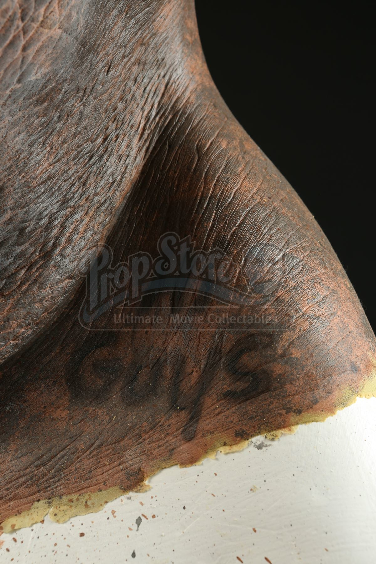 PLANET OF THE APES (2001) - Ari (Helena Bonham Carter), Limbo (Paul ...