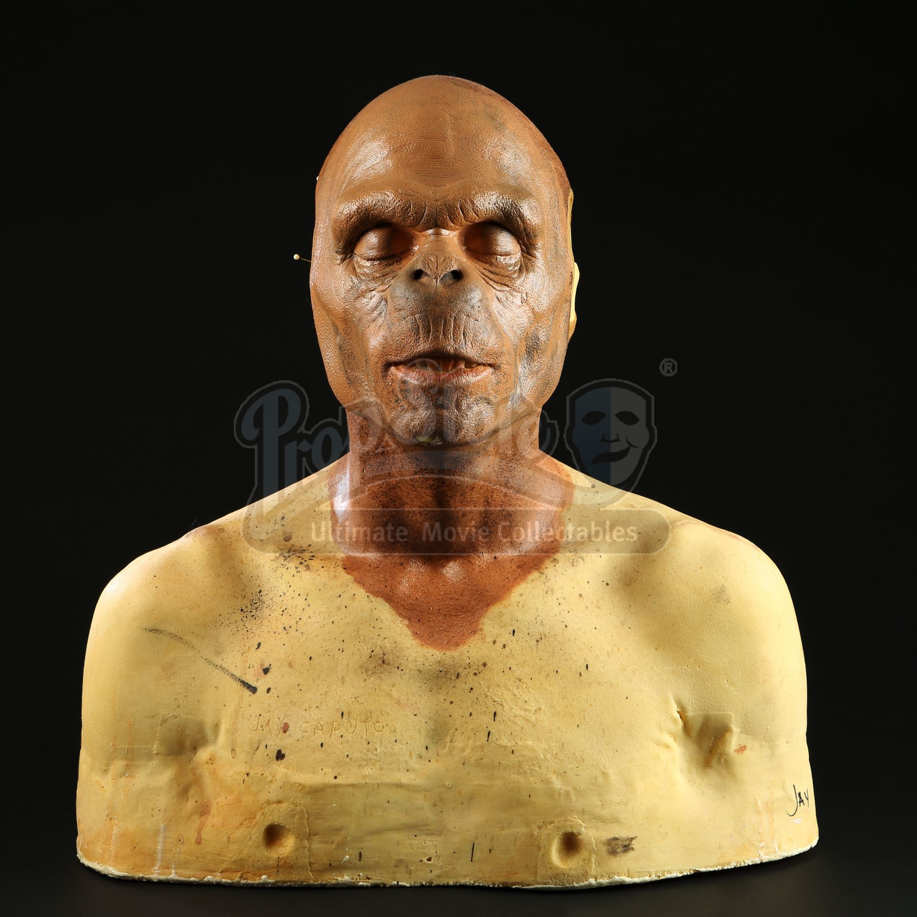 PLANET OF THE APES (2001) - Ari (Helena Bonham Carter), Limbo (Paul ...