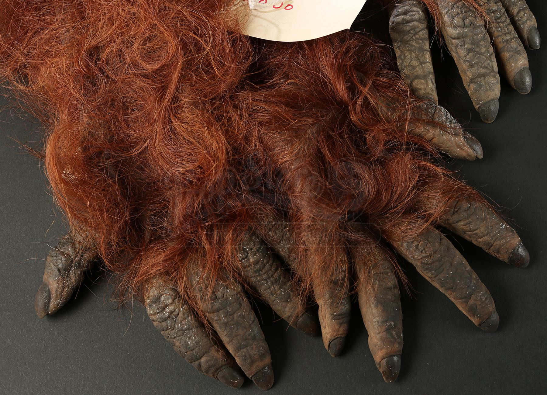 PLANET OF THE APES (2001) - Ape Gloves and Feet