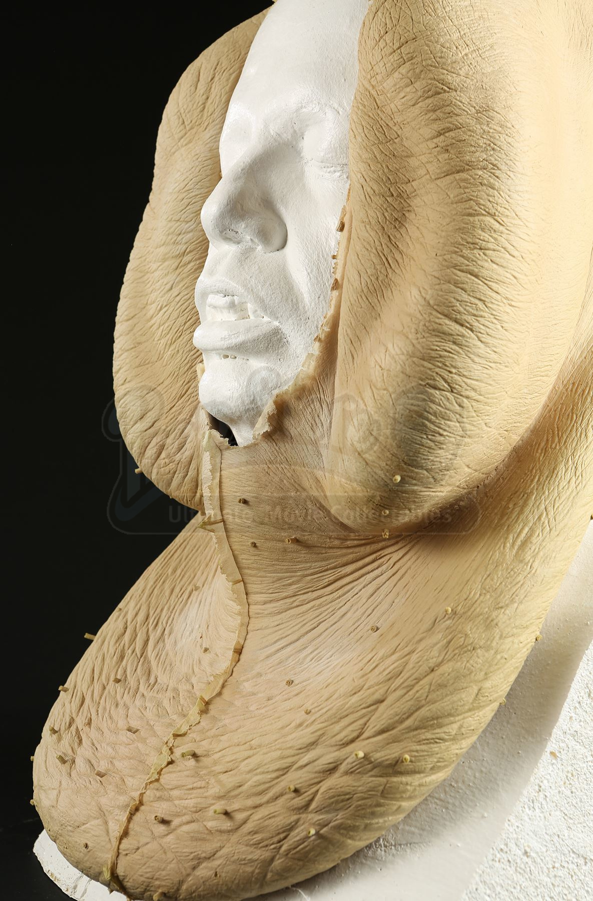 PLANET OF THE APES (2001) - Pair of Senator Nado (Glenn Shadix) Cowls ...