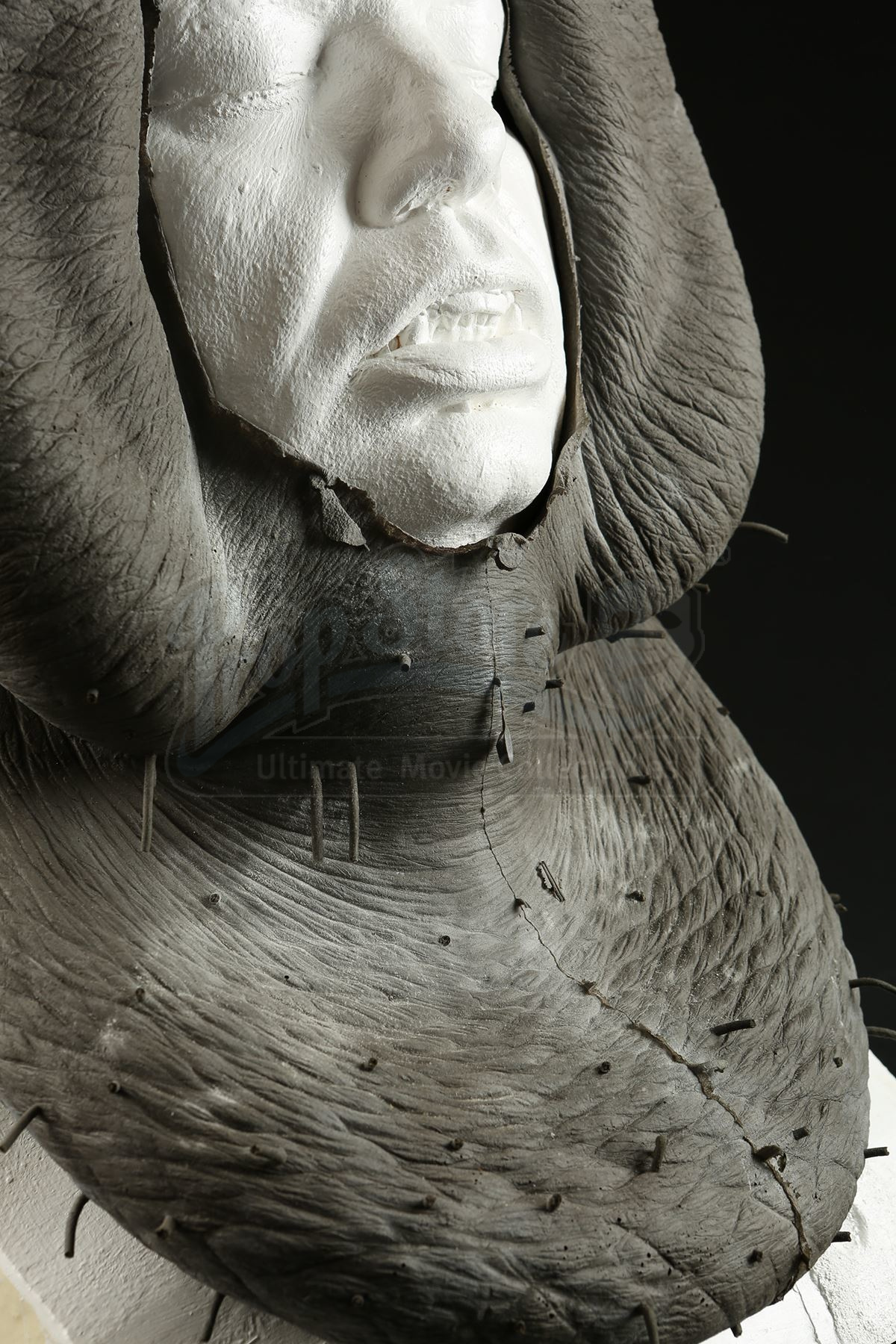 PLANET OF THE APES (2001) - Pair of Senator Nado (Glenn Shadix) Cowls ...