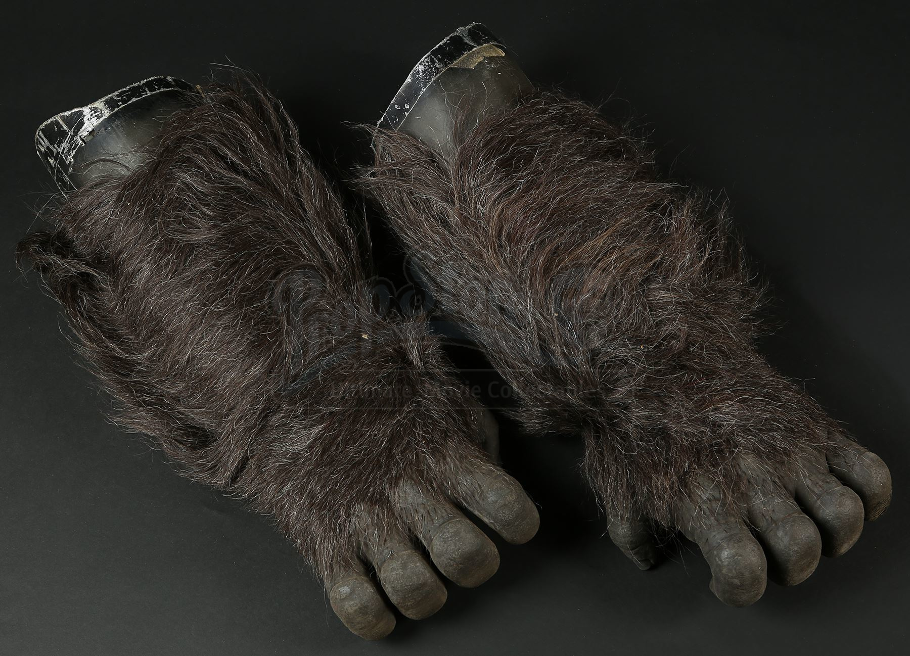 GORILLAS IN THE MIST (1988) - Pair of Knuckle Walker Gorilla Forearms