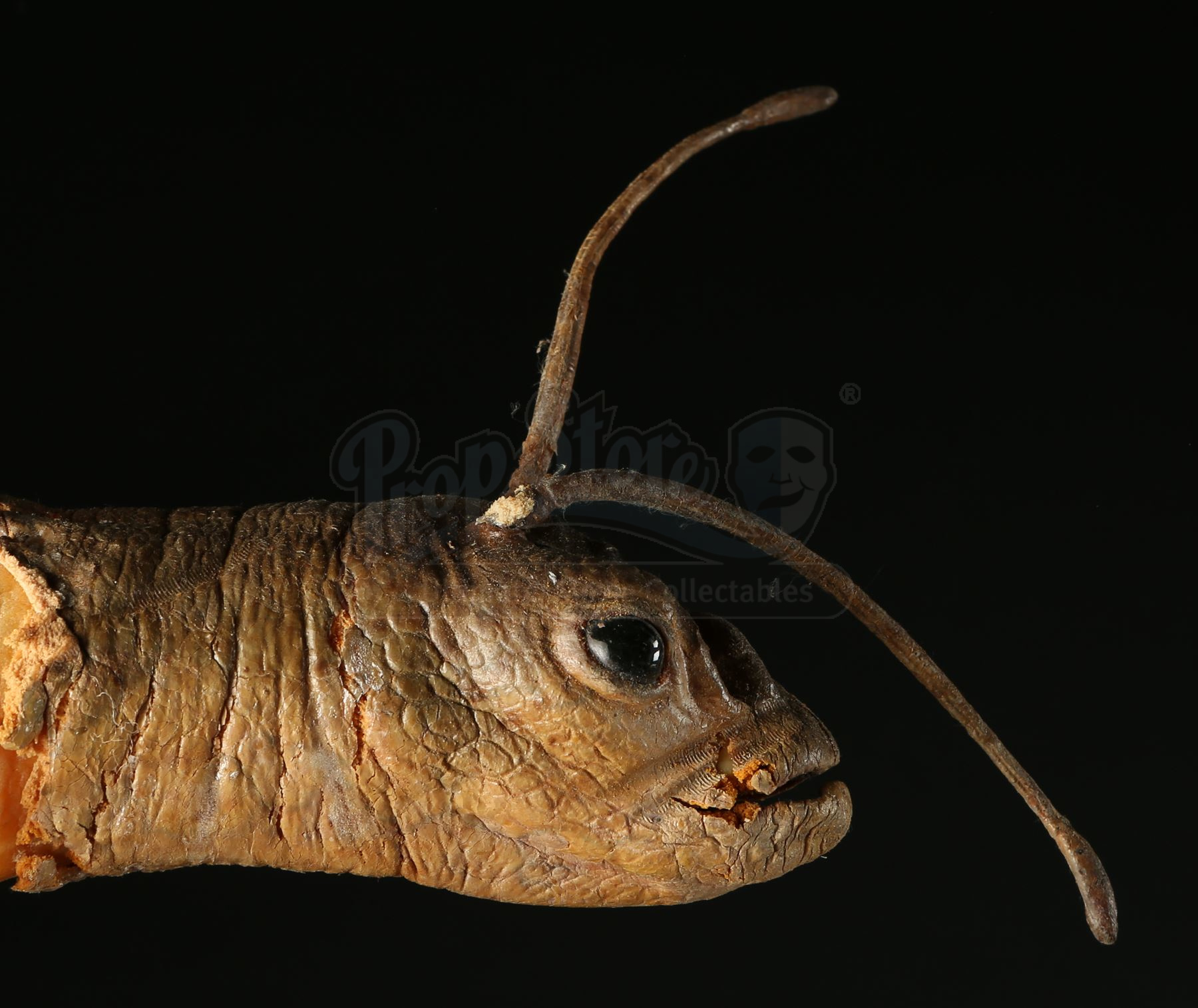 MEN IN BLACK II (2002) - Worm Guy Puppets and Components