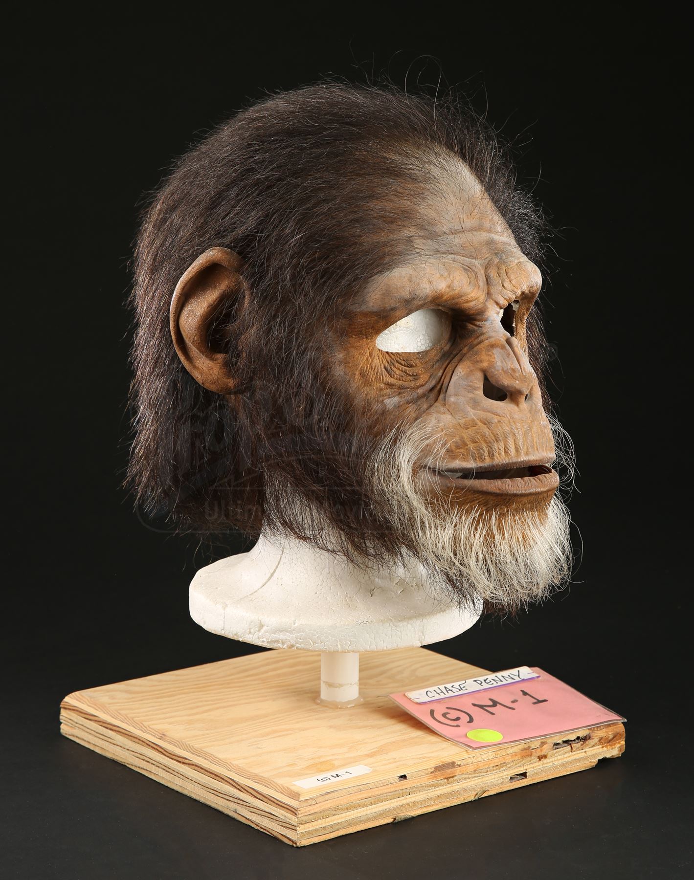 PLANET OF THE APES (2001) - Elder Chimp (Chase Penny) Mask